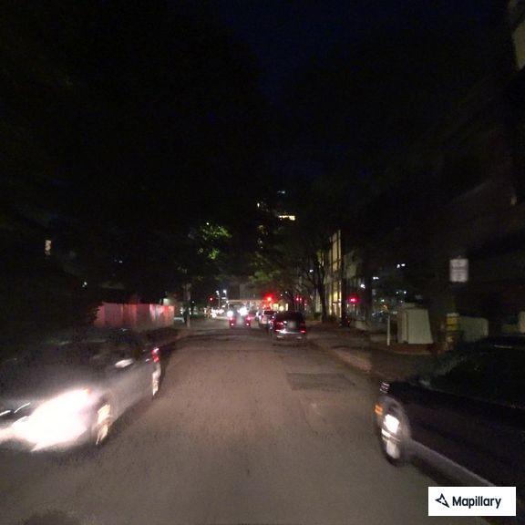 Loose dogs reported near Pleasant and Dudley streets, Brookline MA ...