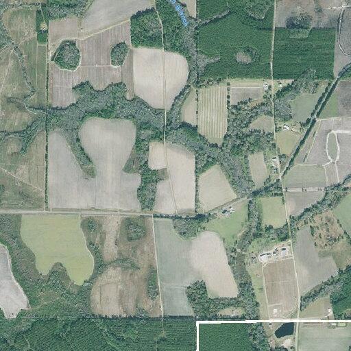 Brush fire reported near Corinth Church area, Bacon County GA | CrimeRadar