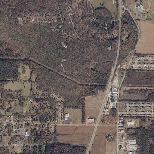 Donkey reported in caller’s yard on Ricky Road, Huntsville AL | CrimeRadar