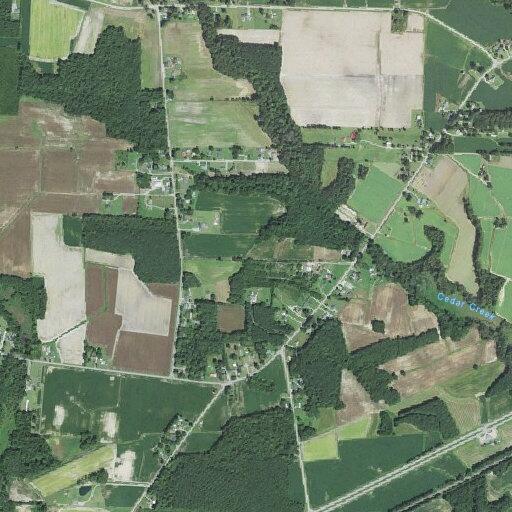 Neighbor reportedly fires shots at caller after shooting dog, Lucama NC ...