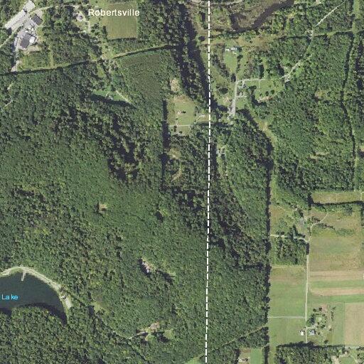 Tree and power lines blocking Cloe Lake Road, Punxsutawney PA | CrimeRadar