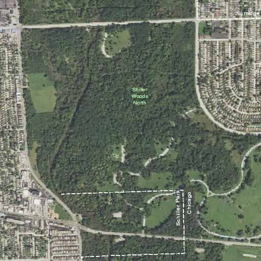 Brush fire reported at Schiller Park Woods, Schiller Park IL | CrimeRadar