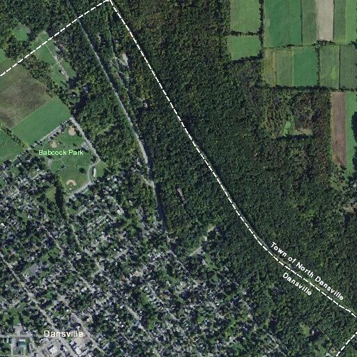 Fire alarm investigated near Williams St, Dansville NY | CrimeRadar