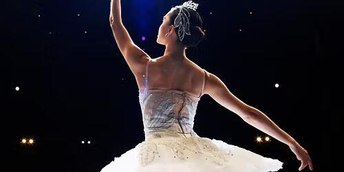 Dance Theatre of Tampa Nutcracker at USF Theatre 1 | NewsBreak