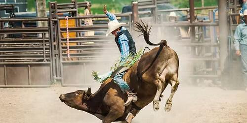 Conley Invitational Bull Riding | NewsBreak