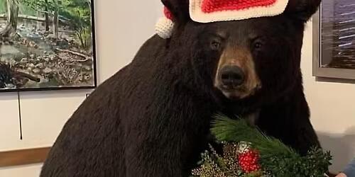 Wreath-Making Workshop | NewsBreak