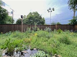 Plants for Backyard Birding | NewsBreak