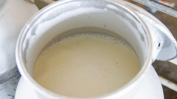 9 benefits raw milk supporters point to as debate grows over taste ...