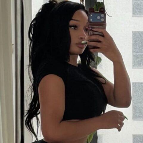 Megan Thee Stallion Shows Off Pole Dance Skills After Bitter Breakup ...