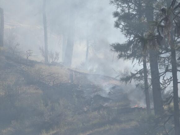 Prescribed burn near Garden Valley aims to reduce hazardous fuels ...