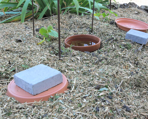 This Easy DIY Trick Will Halve the Time You Spend Watering Your Garden ...