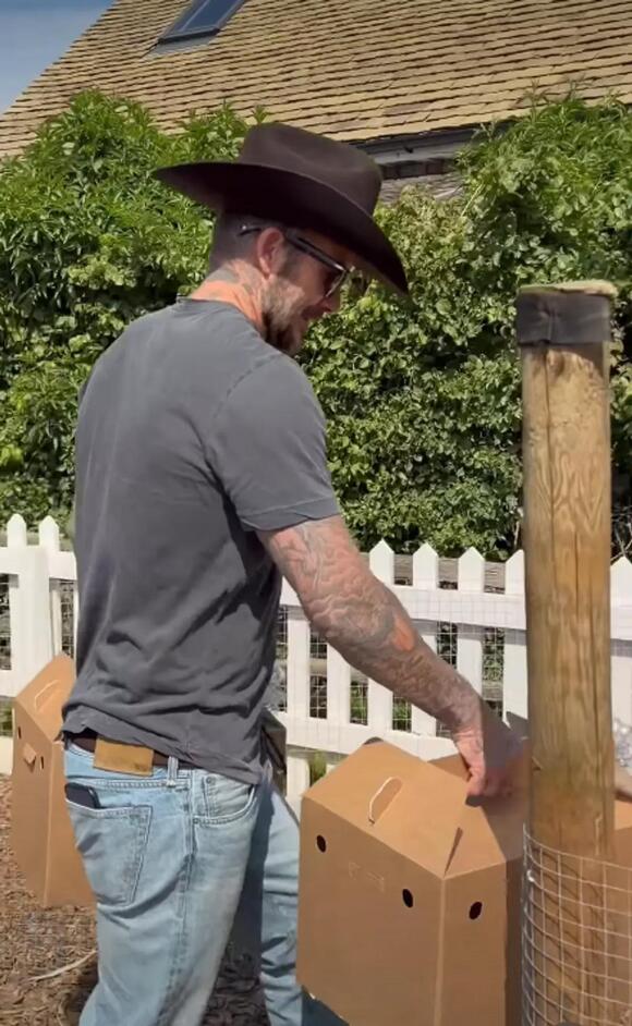 David Beckham, 51, Receives a Very Unexpected Gift from Victoria ...