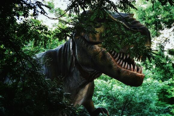 Inside the Hell Creek Formation What the Last Days of the Dinosaurs ...