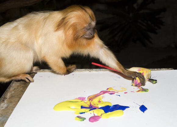 The Role of Brain Research in Understanding Animal Communication ...