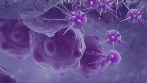 Katie Couric parodies Sydney Sweeney denim ad for colon cancer ...