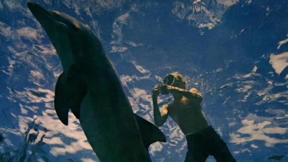 They Call Him ‘Flipper,’ and These 7 Facts About the Hit 1964 Show Will ...