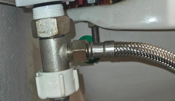 Phone camera reveals escaped coral snake napping beneath toilet in ...