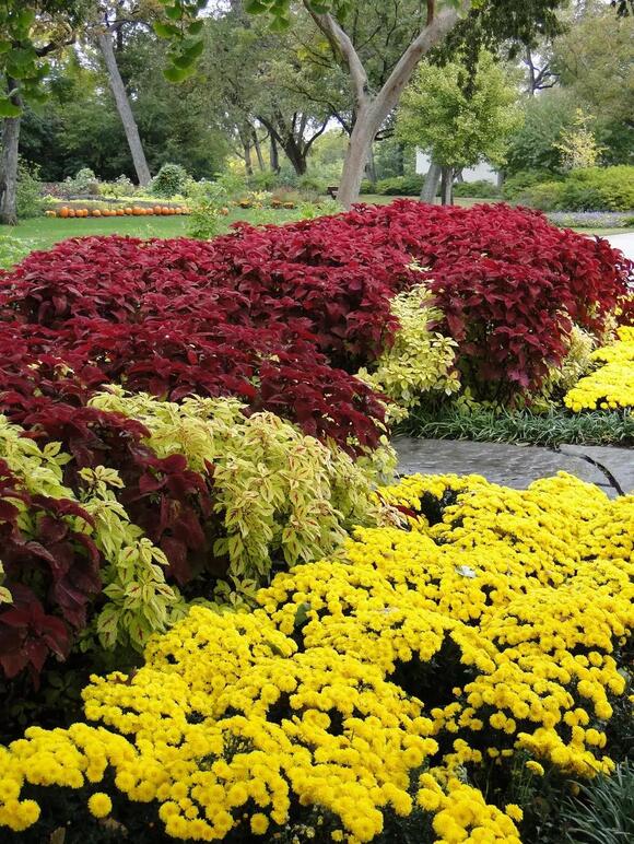 Meet Stingy Jack And The Scots Irish Origins Of Pumpkin Carving - NewsBreak