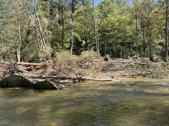 Hurricane Helene creates 'severe environmental disaster' - NewsBreak