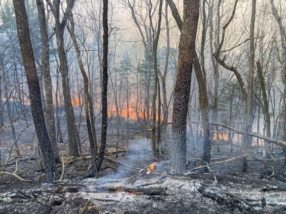 Rain helps contain still-burning wildfires in Virginia's Shenandoah Valley