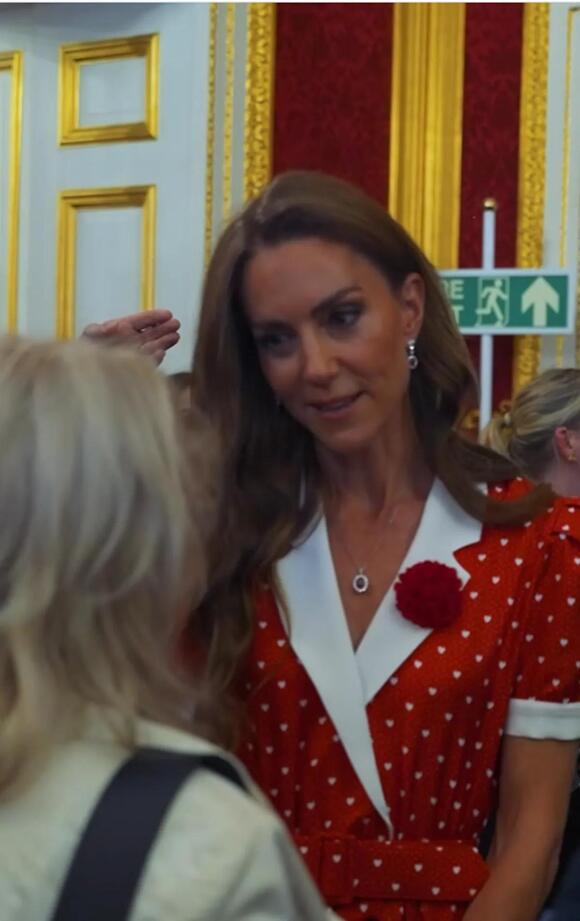 Kate Middleton Sparks Reactions in Bold Red Dress at Charity Event ...