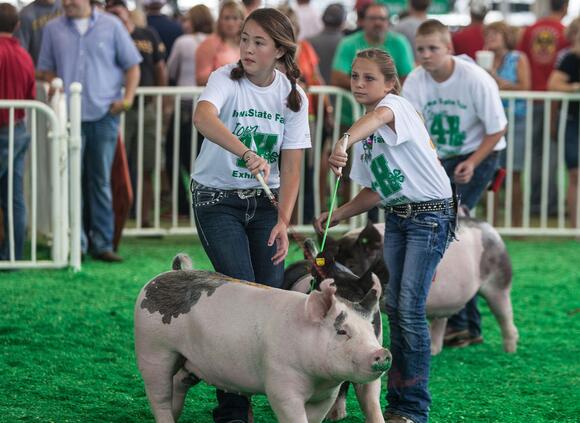YQCA offers $20K in 2025 Youth Ag Program Grant - NewsBreak