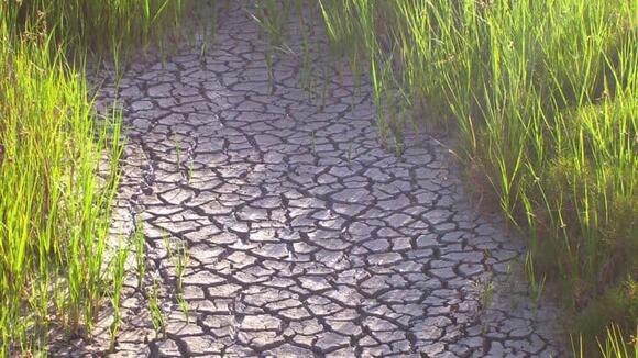 Climate Models Warn of Mega-Droughts in the U.S. by 2060 - NewsBreak