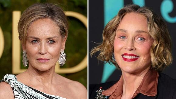 Sharon Stone Raises Eyebrows by Debuting New Look in L.A. After ...