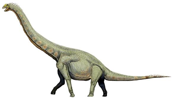 The Split Between Bird-Hipped and Lizard-Hipped Dinosaurs Explained ...