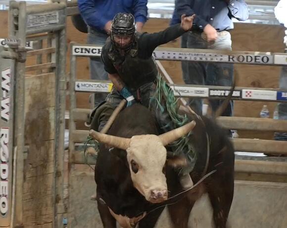 Thousands from around the globe visit, take part in Arcadia All-Florida Championship Rodeo ...