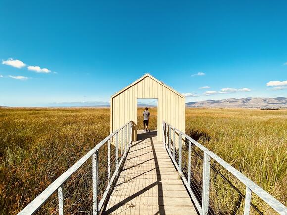 6 Easy Bay Trail Walks Near Sunnyvale, Made for Sunset Dates - NewsBreak