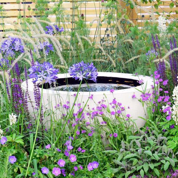 Microponds are Replacing Trad Garden Water Features – and You Can DIY ...