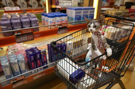 Analysis-China’s $24 billion pet food market heats up as local brands ...