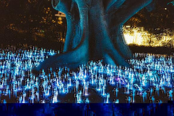 The Enchanting World of Bioluminescence Natures Glowing Wonders - NewsBreak