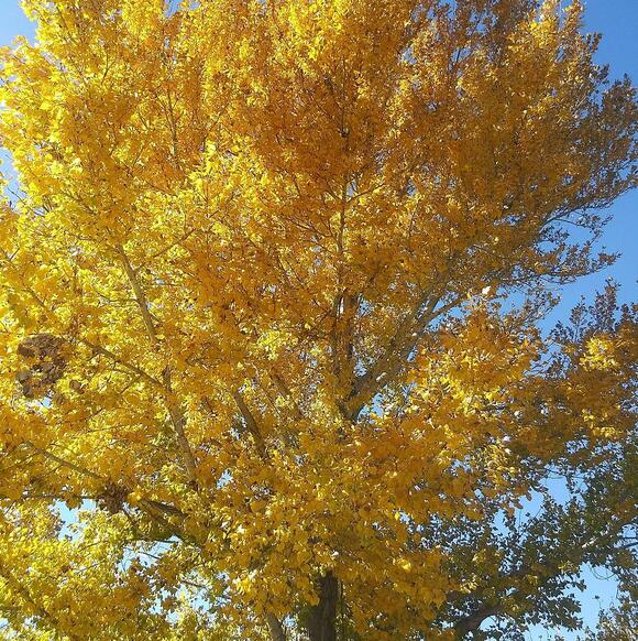 HEAR: Hagemen Discuss, Shutdown, Coal, Water Rights - NewsBreak