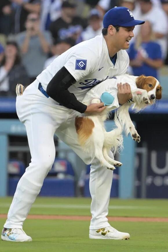 Shohei Ohtani melts MLB fans’ hearts with ‘adorable’ first pitch ...