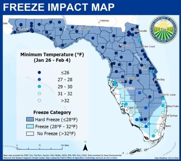 USDA issues disaster declaration for Florida in wake of crop damage by ...