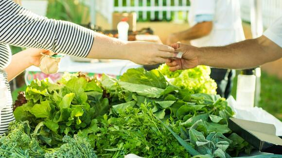 You're Invited: Book Love’s Farmers Market in Plymouth Reveals Opening ...
