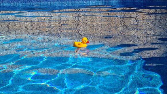 Duck Day is Back: Join Us for a Splashing Good Time at Dunworth Pool ...