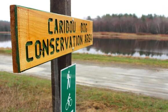 6 Bangor hikes that will get you outdoors this spring