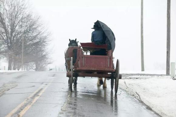 Pick-Up Truck Hits Amish Buggy in New York State, Killing Horse - NewsBreak