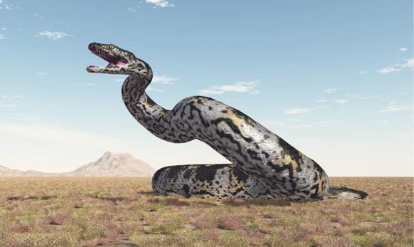 Titanoboa vs Anaconda: What Are the Differences? - NewsBreak