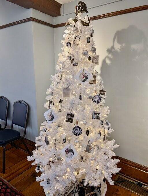 Top tree - NewsBreak