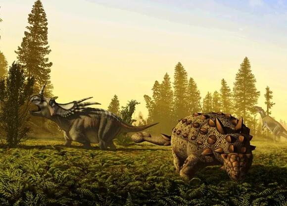 Decoding the Dino Diet: Surprising Facts About Ancient Appetites ...