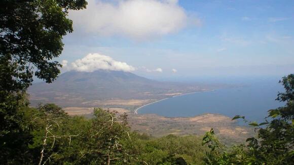 Best Global Destinations for Seeing Sloths in the Trees - NewsBreak