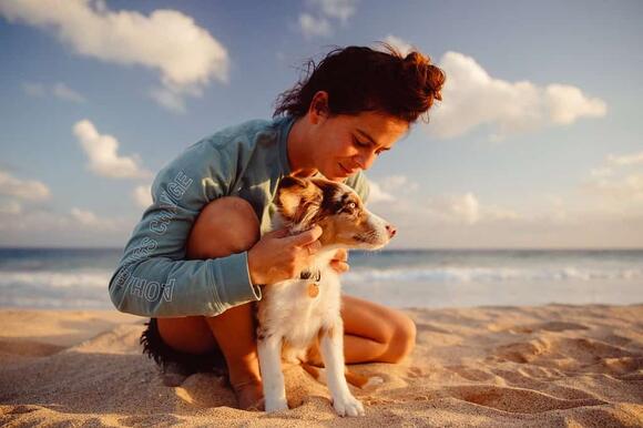 160 Biblical Dog Names and Their Meanings - NewsBreak