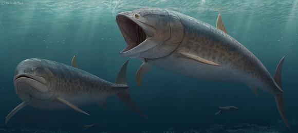 11 Prehistoric Sea Creatures That Make T-Rex Look Like a Harmless ...