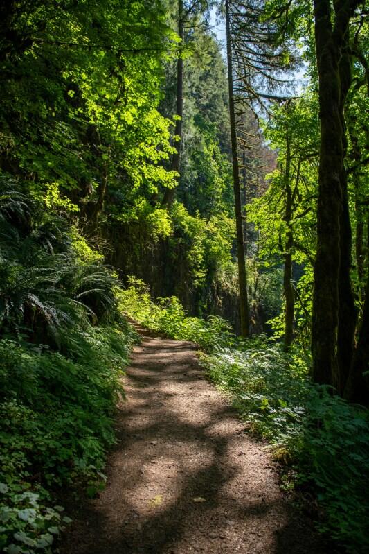 These are the top hiking trails in America - NewsBreak