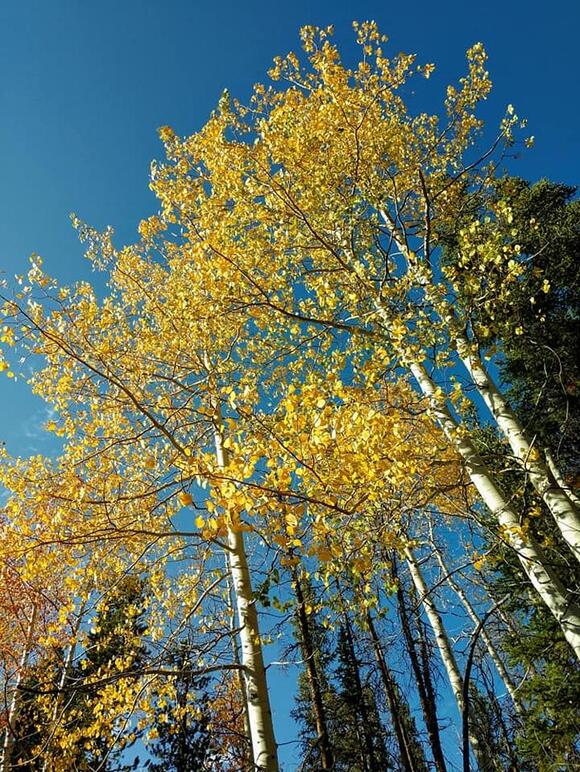 You Know Its November In Wyoming - WHEN! - NewsBreak