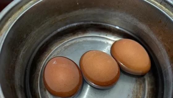 CDC Issues Salmonella Warning Over Recalled Eggs - NewsBreak